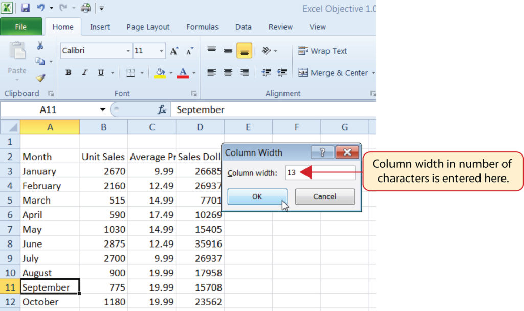 Unit 1 Excel Fundamental Information Systems