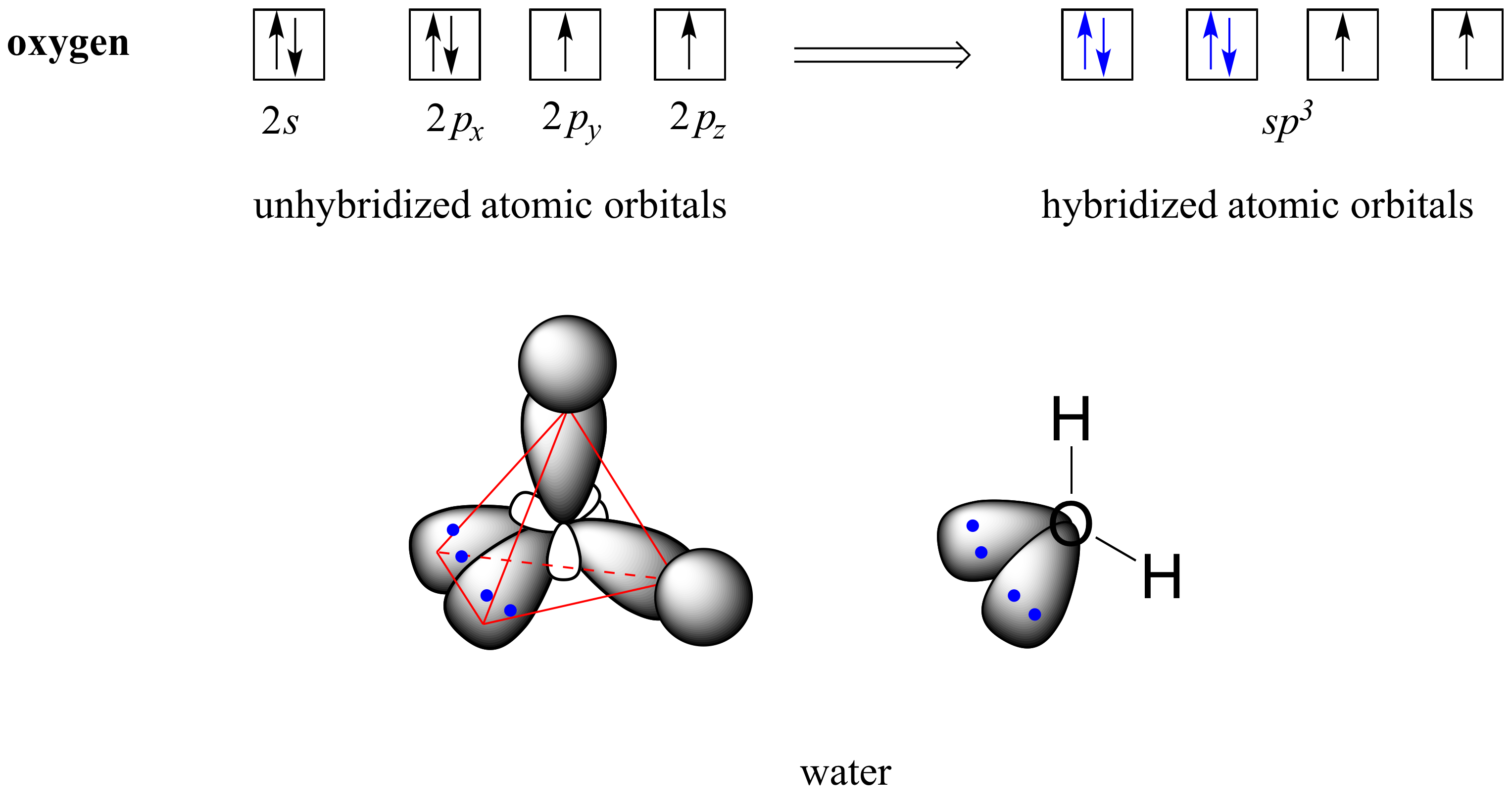 Valence Bond Theory MCC Organic Chemistry