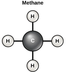 Carbon and Carbon Bonding | Biology for Non-Majors I