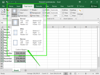 Viewing a Worksheet | Computer Applications for Managers