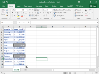 Assignment: Organize Sales Data | Computer Applications for Managers