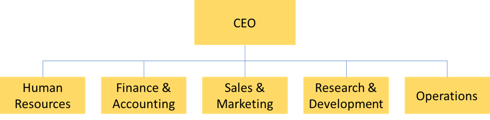 Common Organizational Structures Principles Of Management