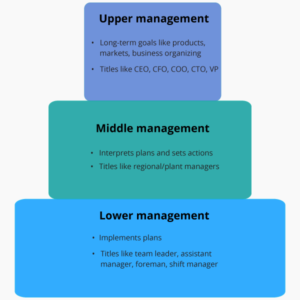 Types Of Managers And Their Roles Principles Of Management