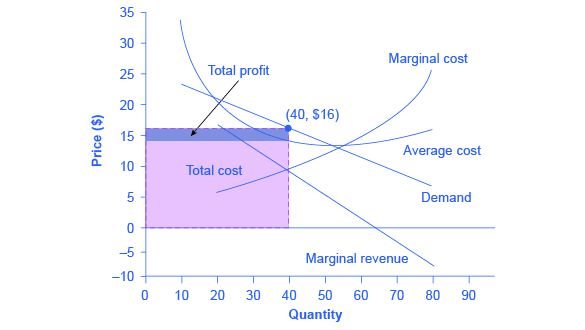 Profit Maximization Under Monopolistic Competition Microeconomics