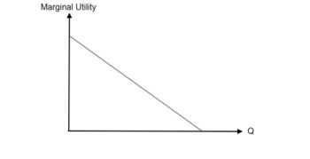 Marginal Utility versus Total Utility | Microeconomics
