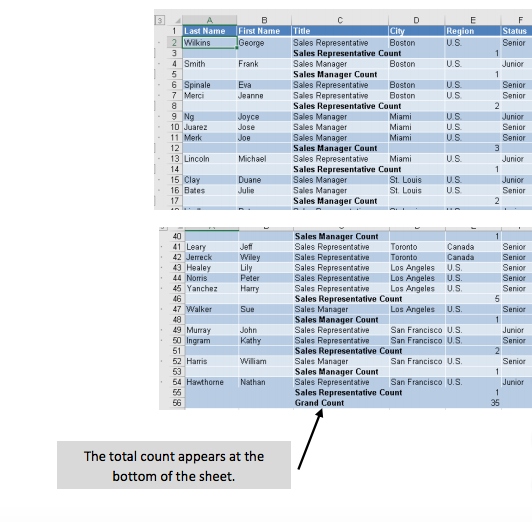 Subtotals Information and Practice | Introduction to Spreadsheets