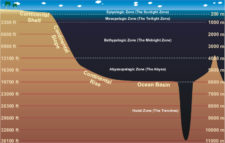 Layers of the Ocean | Physical Geography