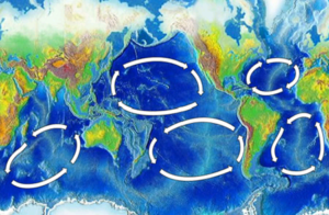 Shape of the Ocean Basin | Physical Geography