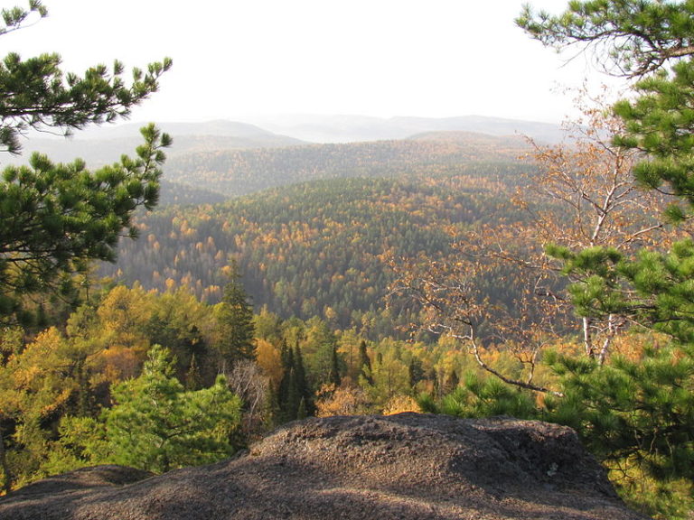 Humid Continental (Group D) | Physical Geography