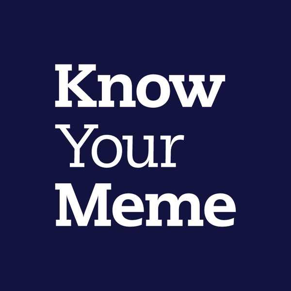 James Gleick What Defines A Meme Research And Composition