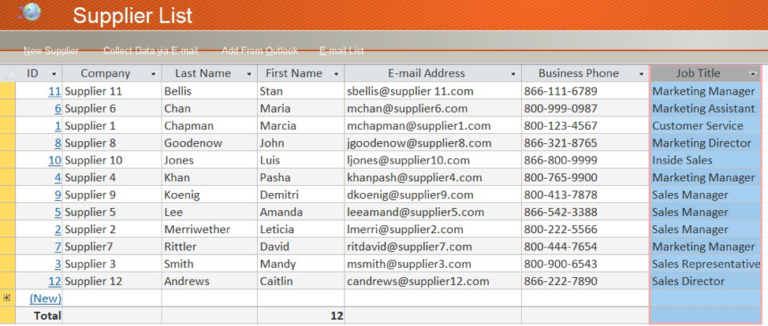 Displaying Records In Datasheets | Computer Applications For Managers