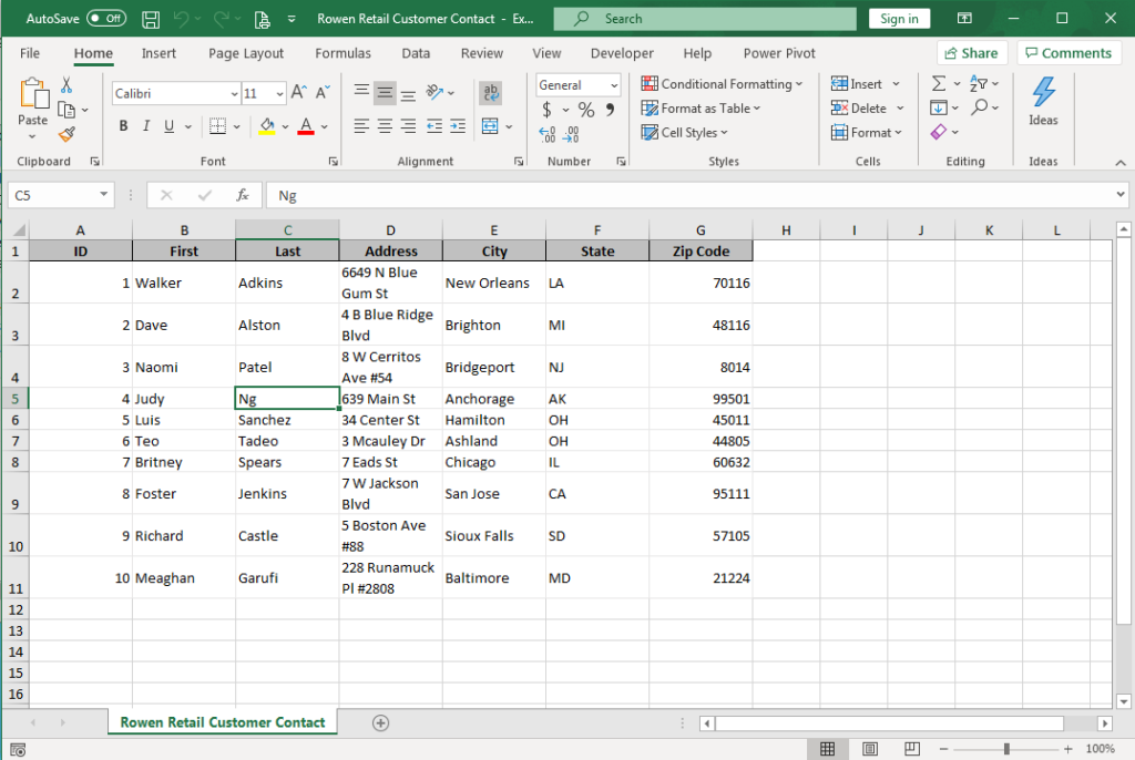Excel Table from Access Data | Computer Applications for Managers