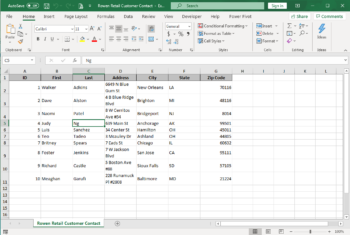 Excel Table from Access Data | Computer Applications for Managers
