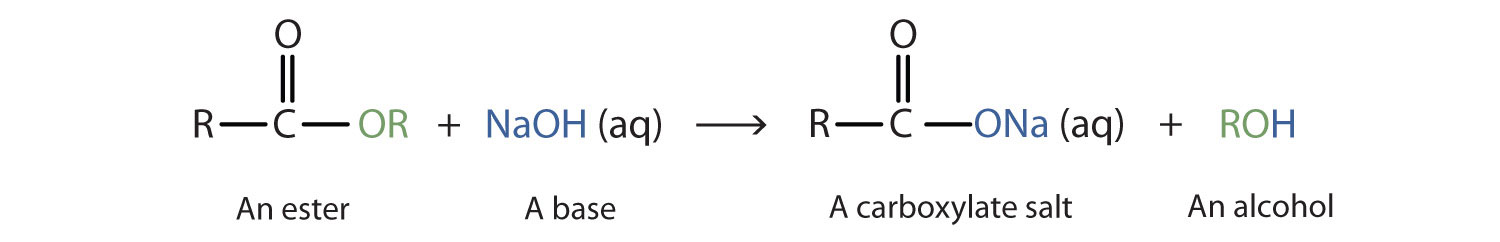 15 9 Hydrolysis Of Esters The Basics Of General Organic And 