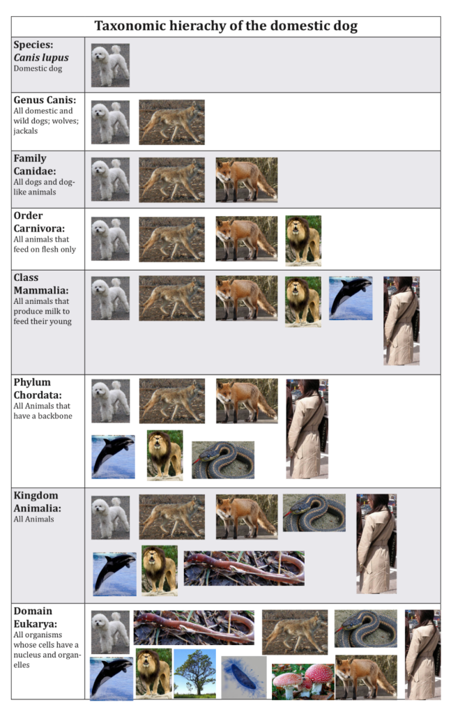 Taxonomy | Ivy Tech BIOL 101