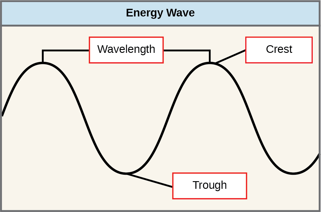 The Light Dependent Reactions Of Photosynthesis OpenStax Biology 2e