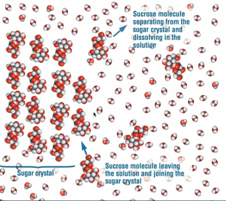 9.3 The Dissolution Process | The Basics of General, Organic, and ...