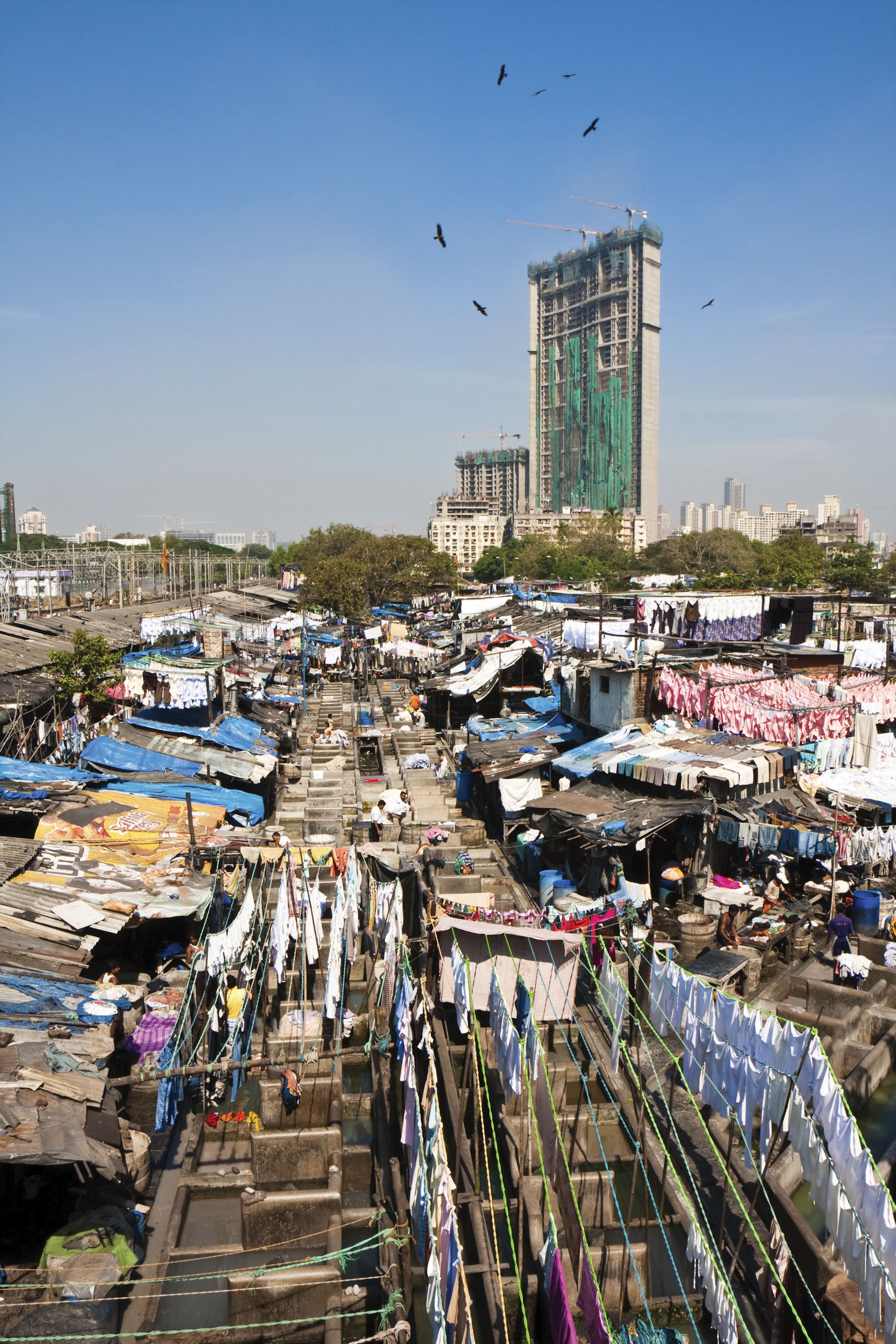 Urbanization Problems