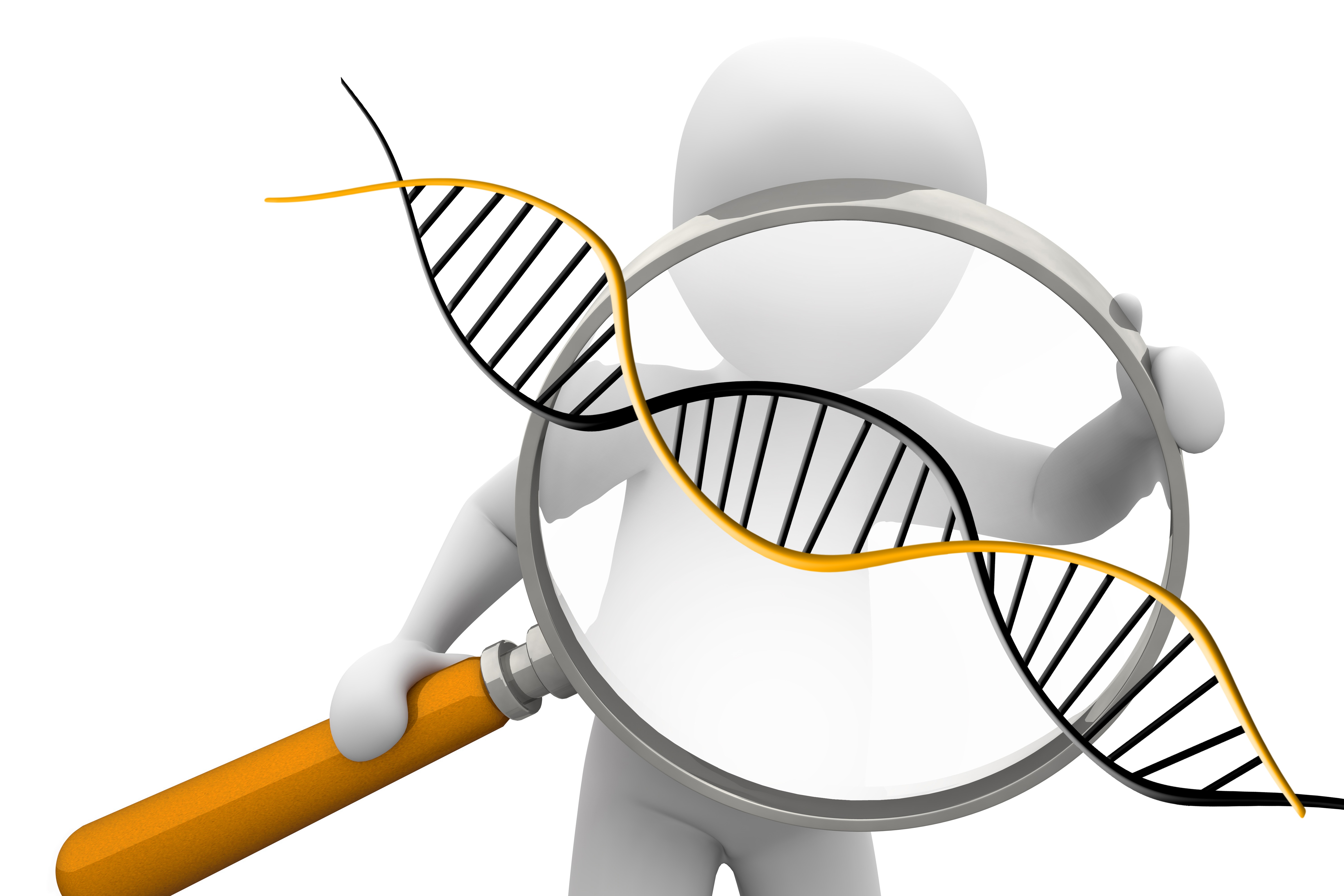 Introduction To Biological Foundations Of Human Development Lifespan