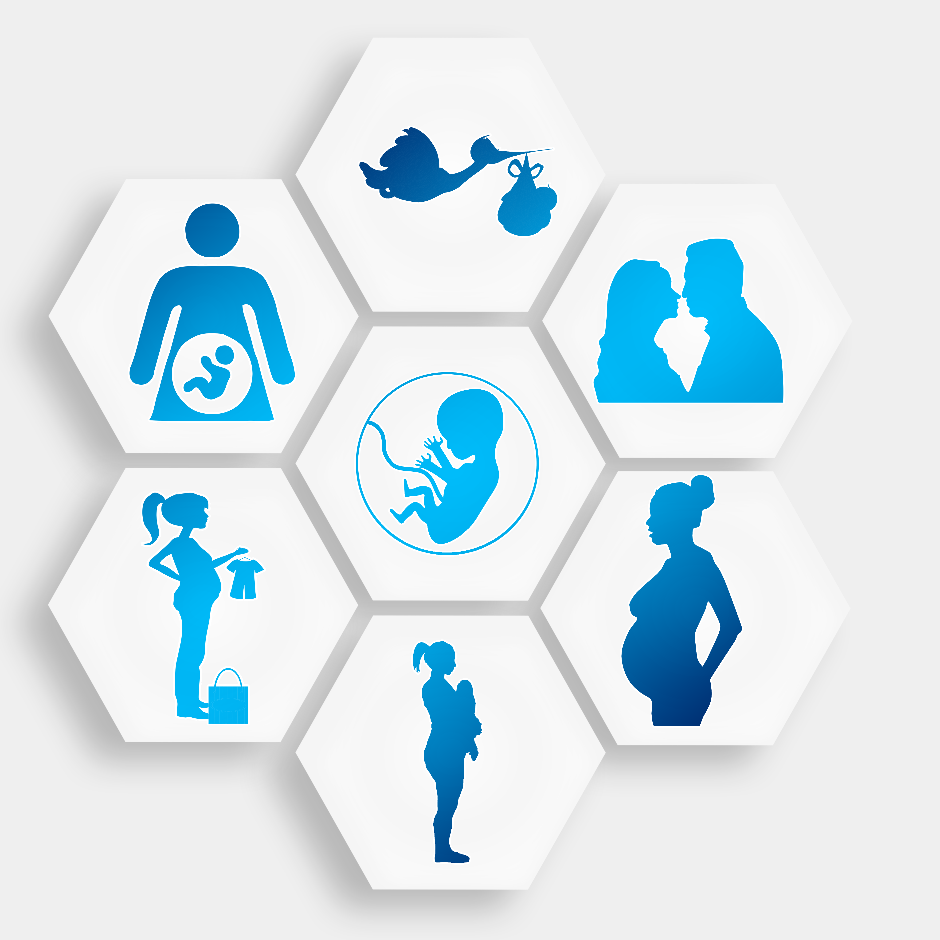 Prenatal Development Lifespan Development Prenatal Development Lifespan Development