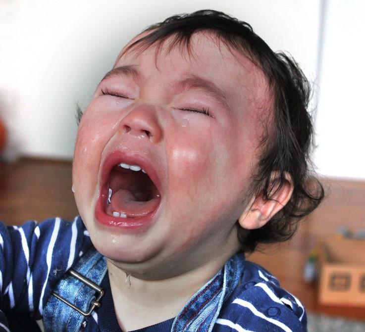 Parenting | Lifespan Development Parenting | Lifespan Development