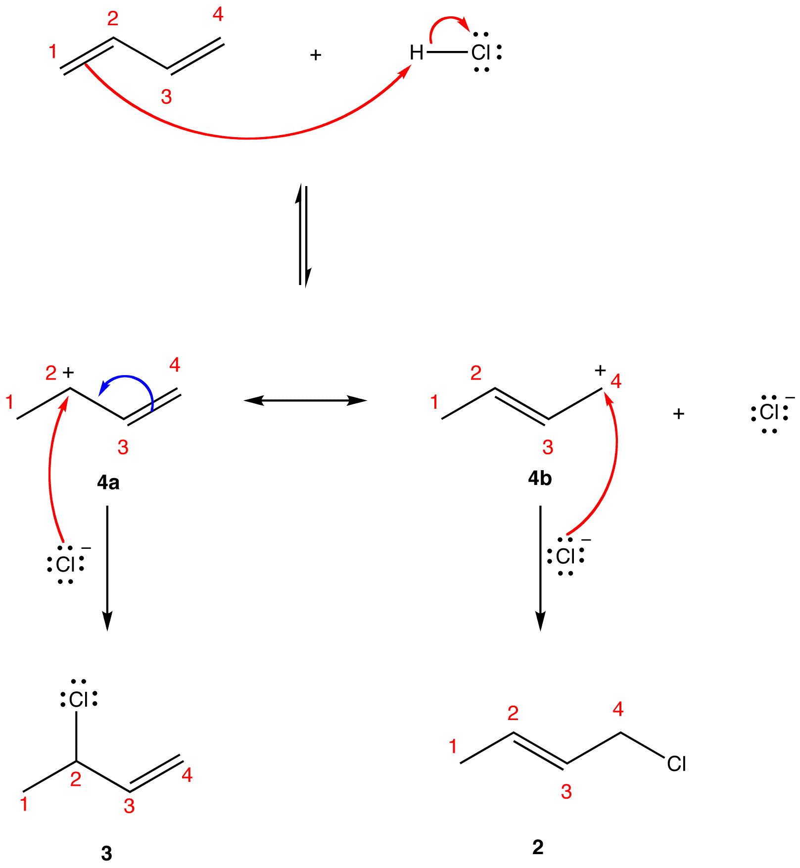 Reactions Of Dienes