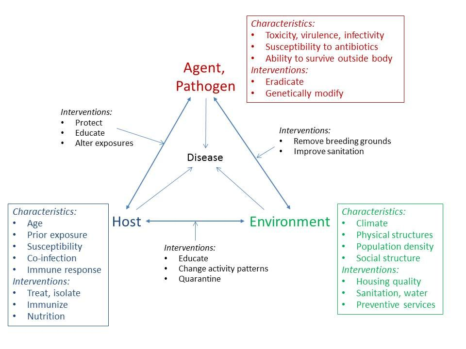 Chapter 14 Connecting The Epidemiological Triad To Other Theories
