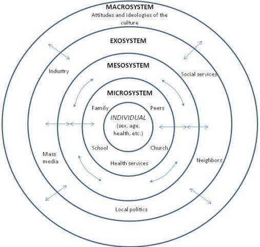 Advantages And Disadvantages Of Ecological Systems Theory