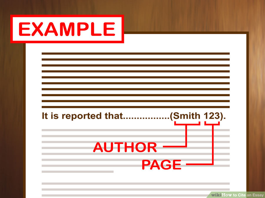 MLA In Text Citations Introduction To Literature