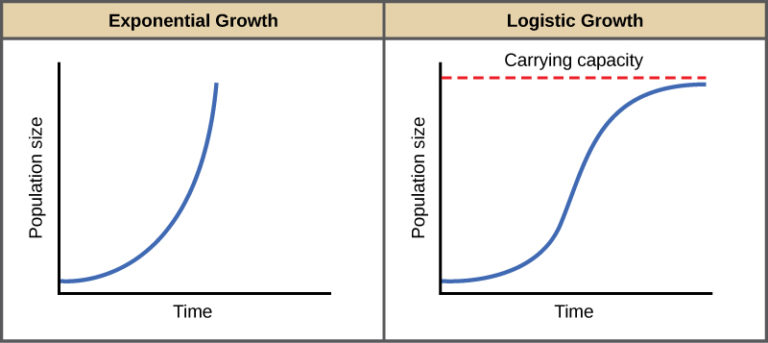 Why It Matters: Modeling Growth | Mathematics for the Liberal Arts ...