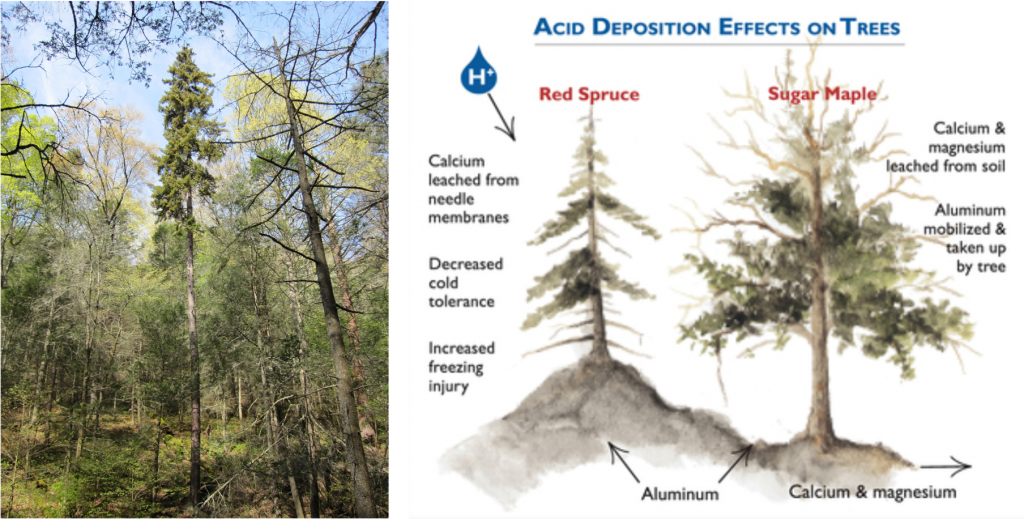 Chapter 23 ~ Acidification | Humans and the Environment