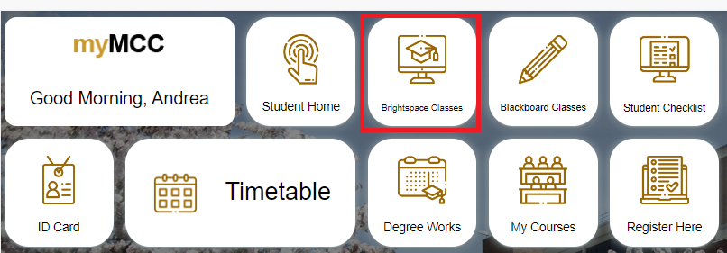 Exploring MCC Technology | College Success