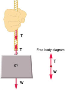 Normal, Tension, and Other Examples of Forces | Physics