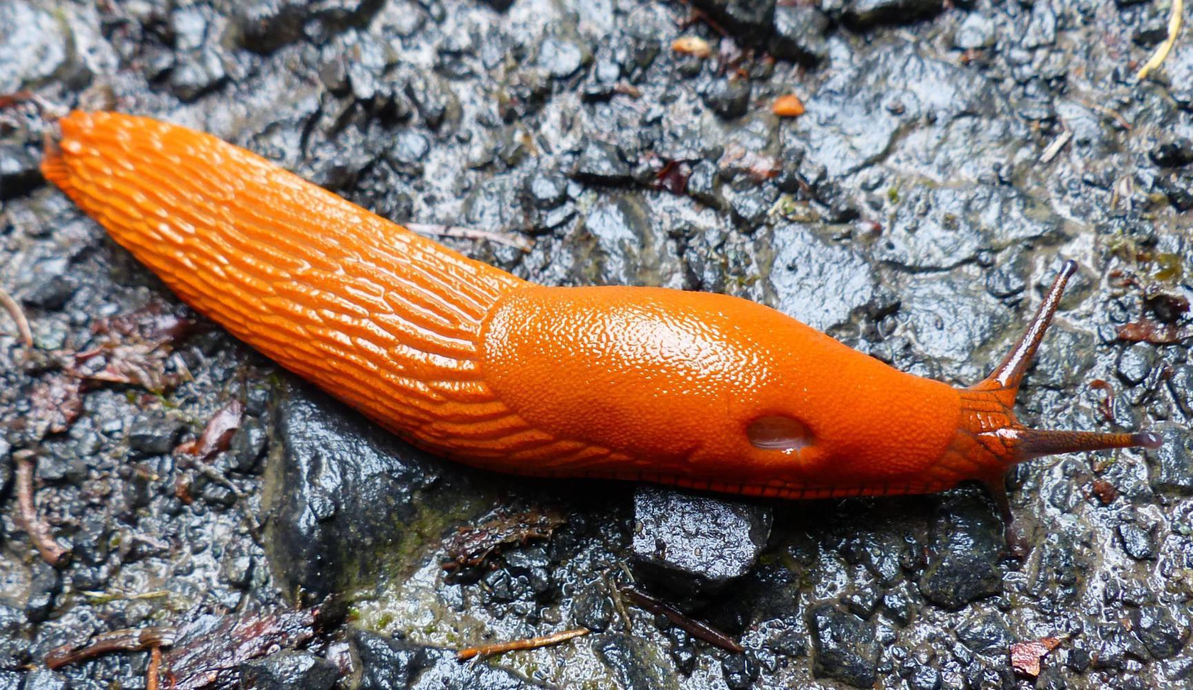 We Arrive in Germany - Exploring Germany, Czech Republic and beyond ...