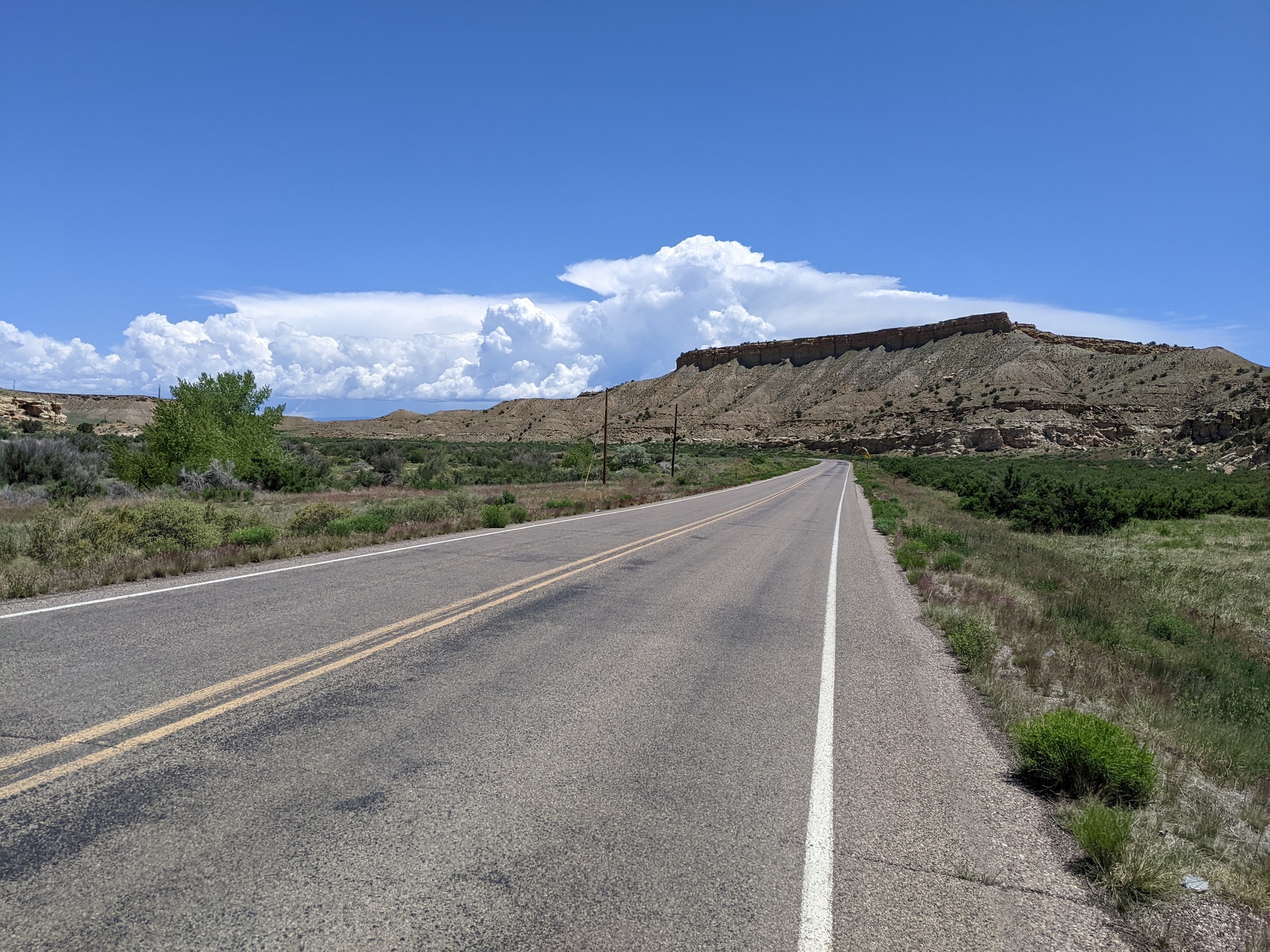 thwarted again - Dirt Picker - CycleBlaze