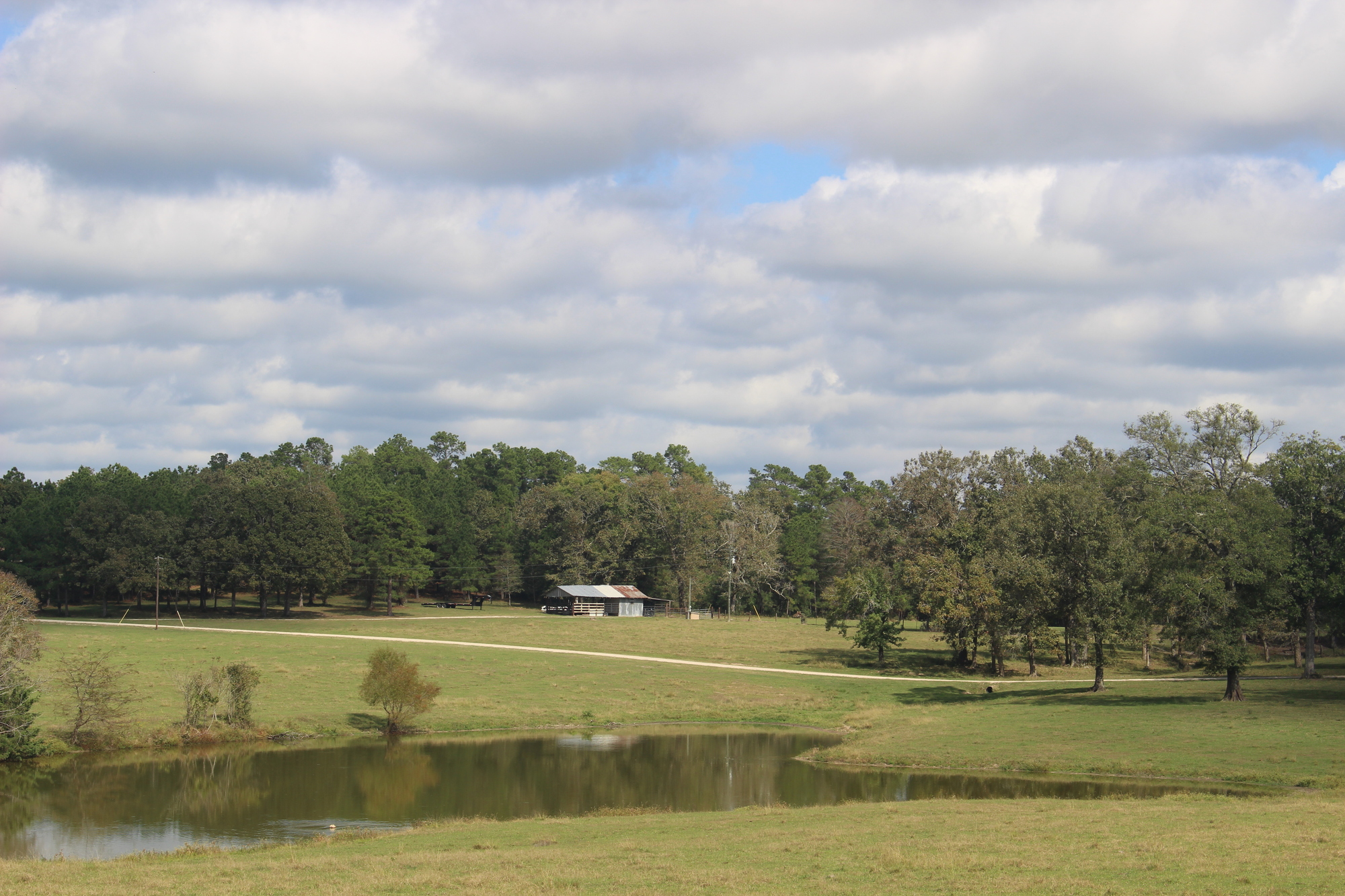 Day Sixteen: Coldspring, Texas to Moscow, Texas - Destination Unknown ...