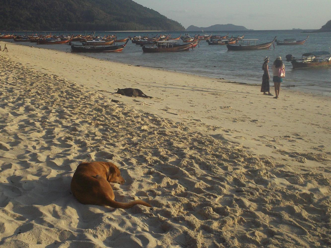 Snorkeling around Koh Lipe: Wrapping things up in tourist Thailand ...