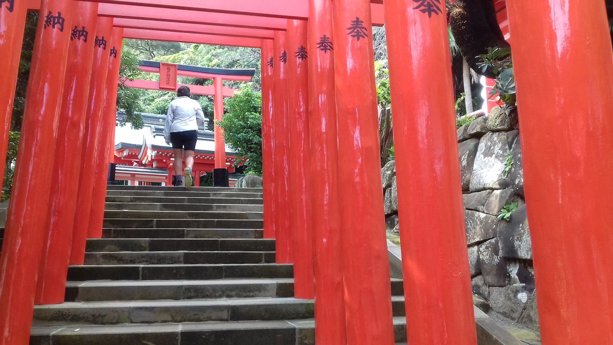 Nichinan - The fifth step ... the length of Japan. - CycleBlaze