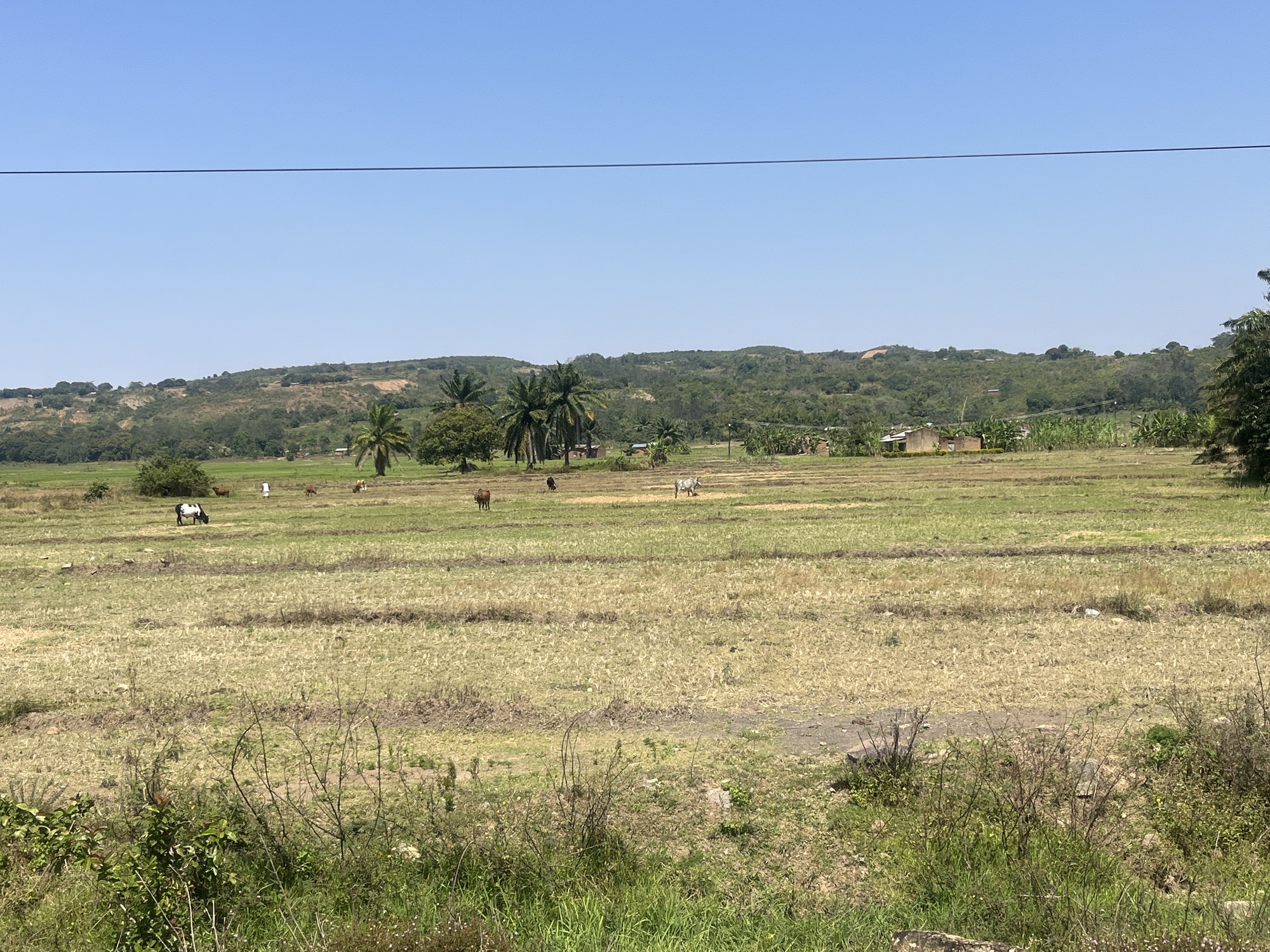 Karonga to border town in Tanzania - Kim and Glory - It's in My Soul ...