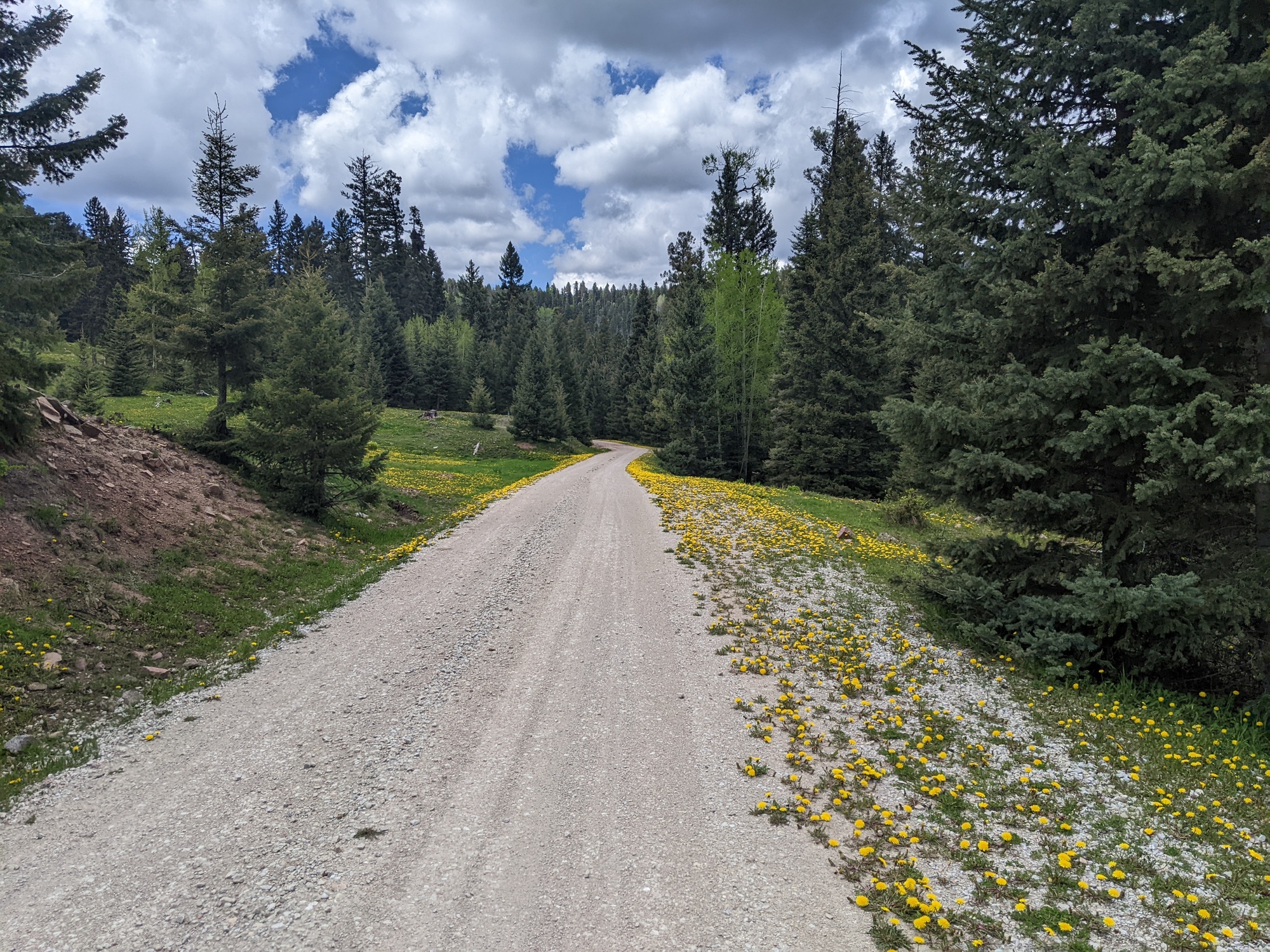 best day yet - Dirt Picker - CycleBlaze