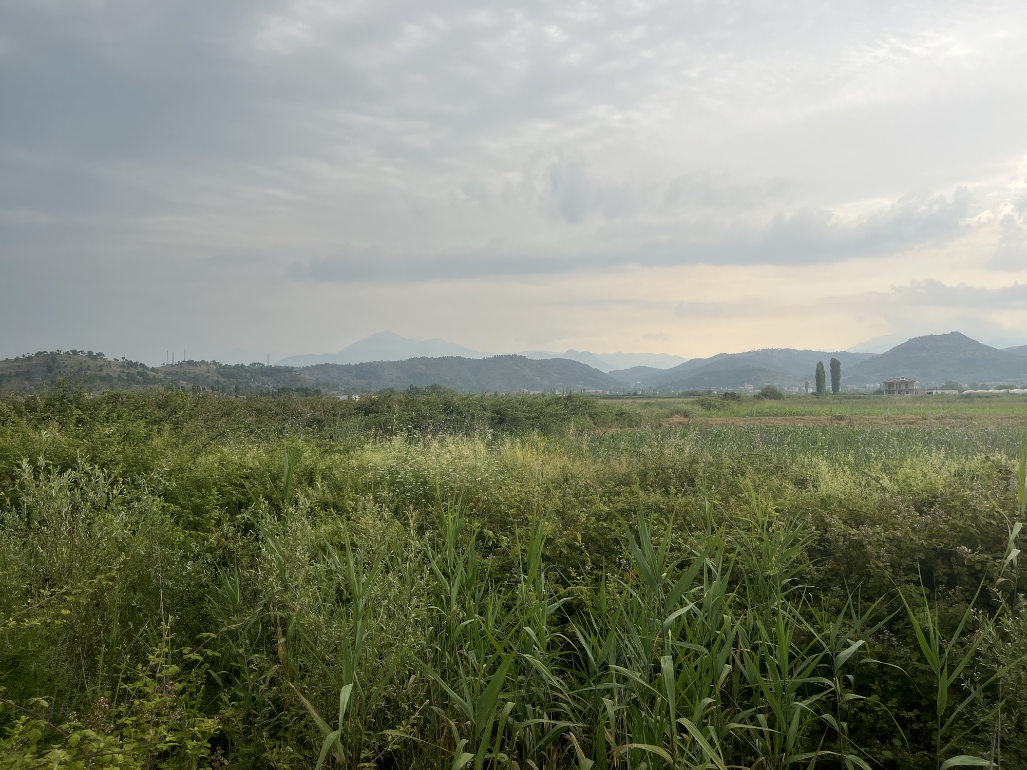 Shkoder to Near Fushe Milot (Arberia Palace Hotel) - Kim and Glory ...