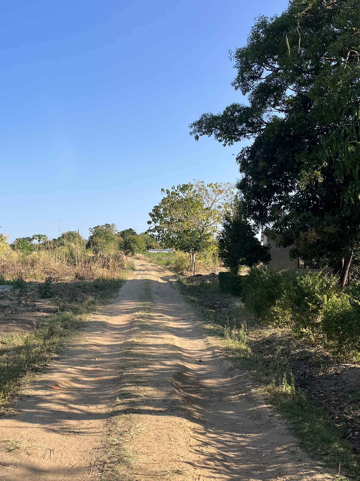 Ngala Beach Lodge - a two week stay! - Kim and Glory - It's in My Soul ...