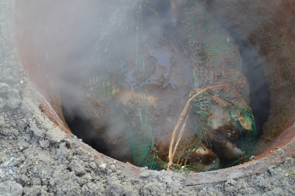 Pechuga Mezcal: A Celebration of the Harvest | Distiller