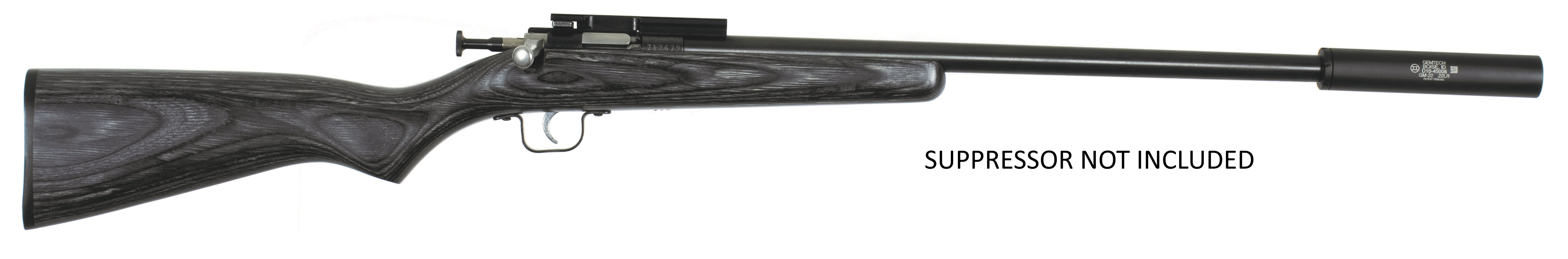 Keystone Sporting Arms Sporting Arms Crickett 22LR Bl/Black LAM T ...
