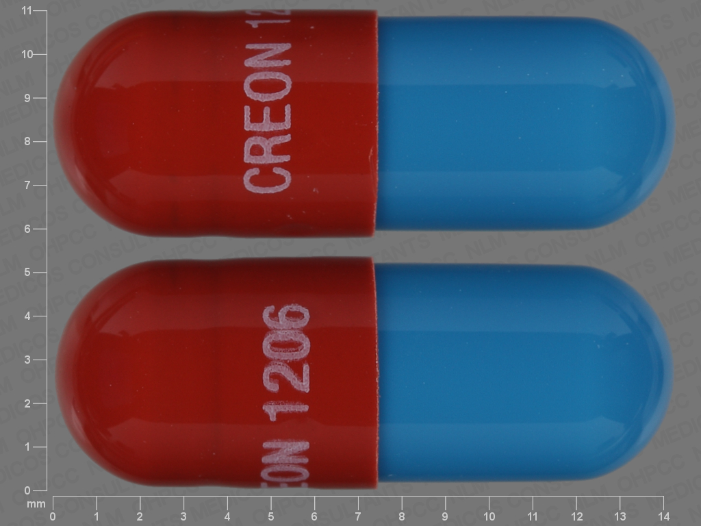 Pancrelipase lipase: Uses, Interactions, Mechanism of Action | DrugBank ...