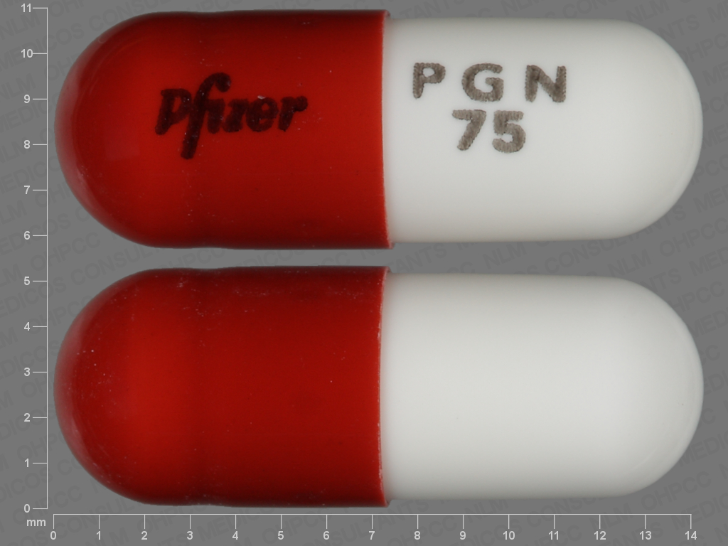 Pregabalin | DrugBank Online