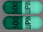 Cephalexin | DrugBank Online