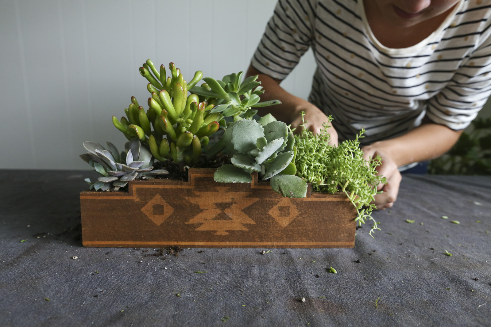 How to Make a DIY Desktop Succulent Planter