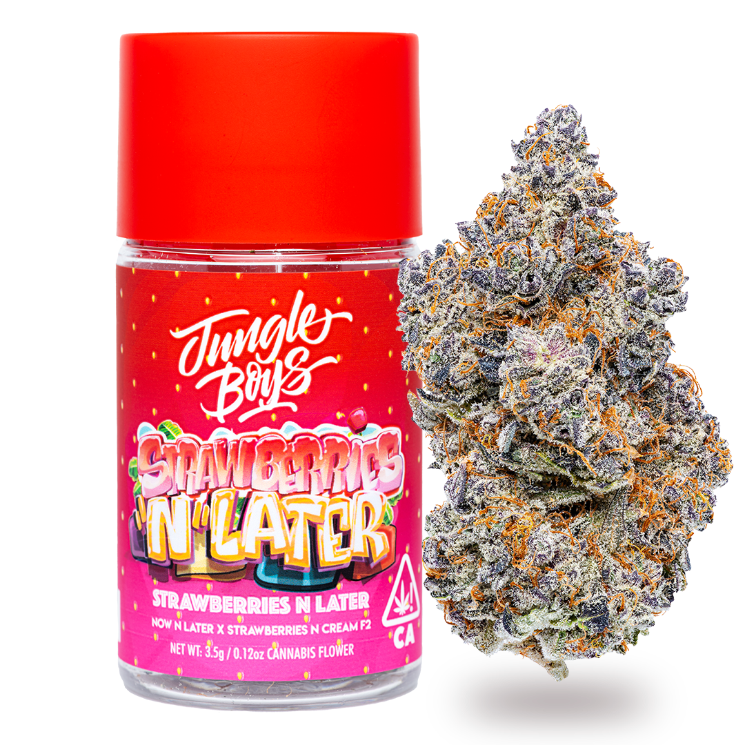 9be7df8f4f94d6db64d87506bccd1622