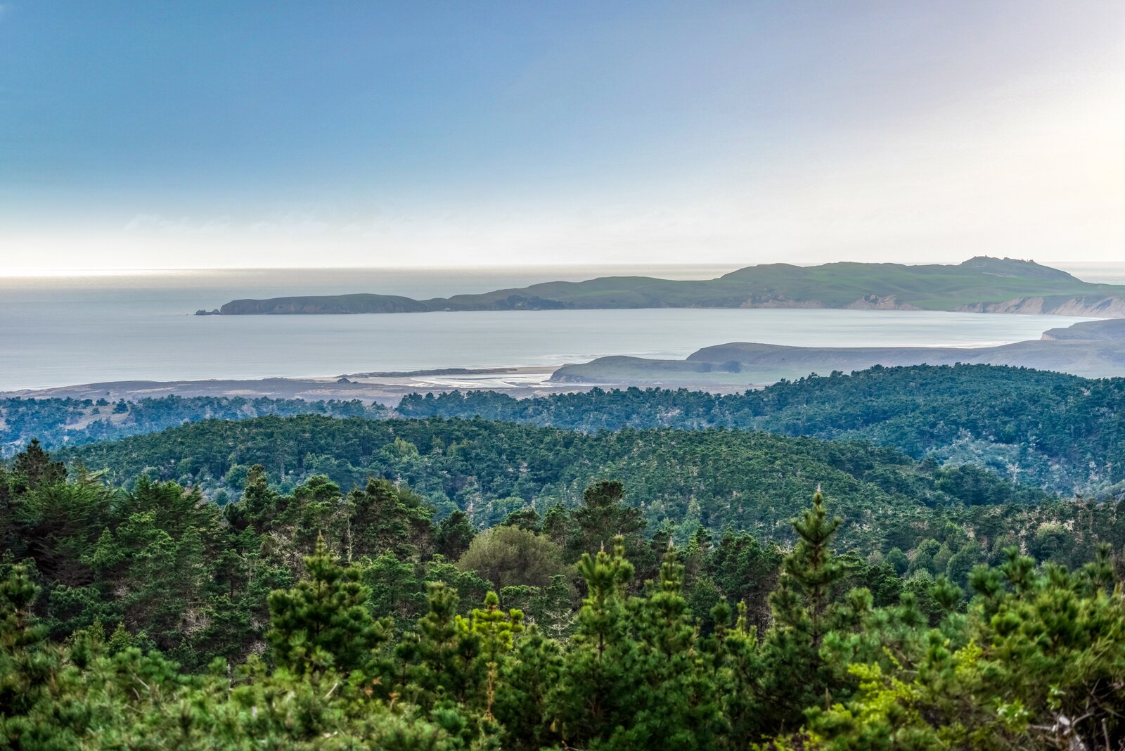 Photo 9 of 90 in 25 Elizabeth Place by Acclaimed Architect Igor ...